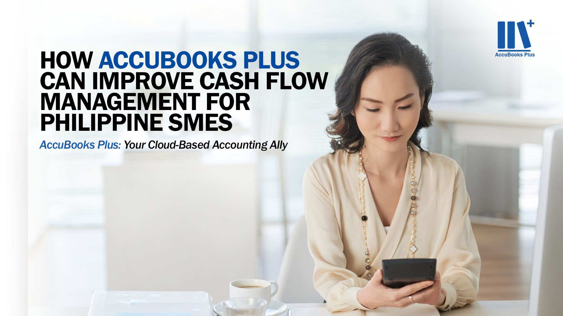 AccuBooks Plus - Accounting System in the Philippines